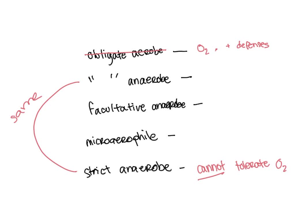 SOLVED: Part A - Of the microbes classified as aerotolerant anaerobes ...