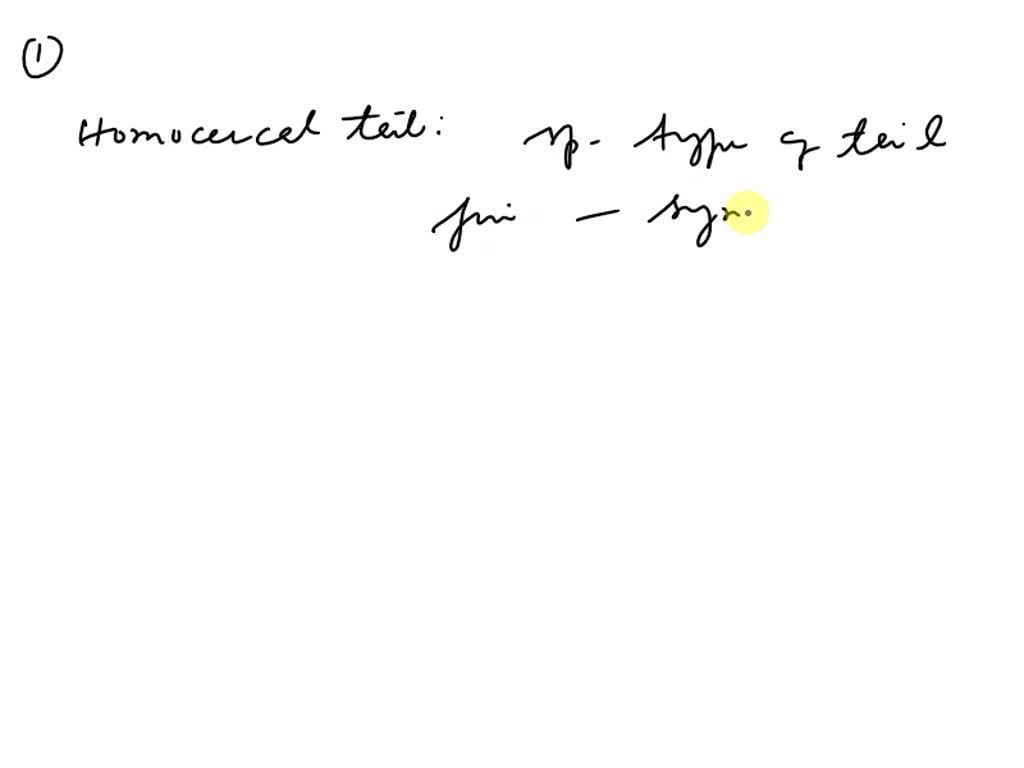 SOLVED: Describe and give the function of the following adaptations ...