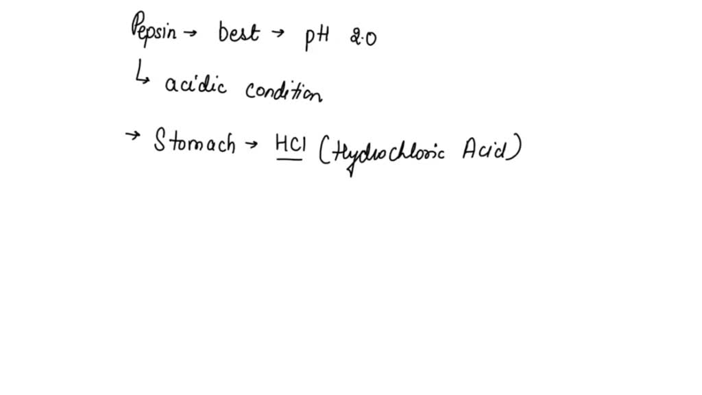 SOLVED: The pH of the small intestine is typically slightly basic ...