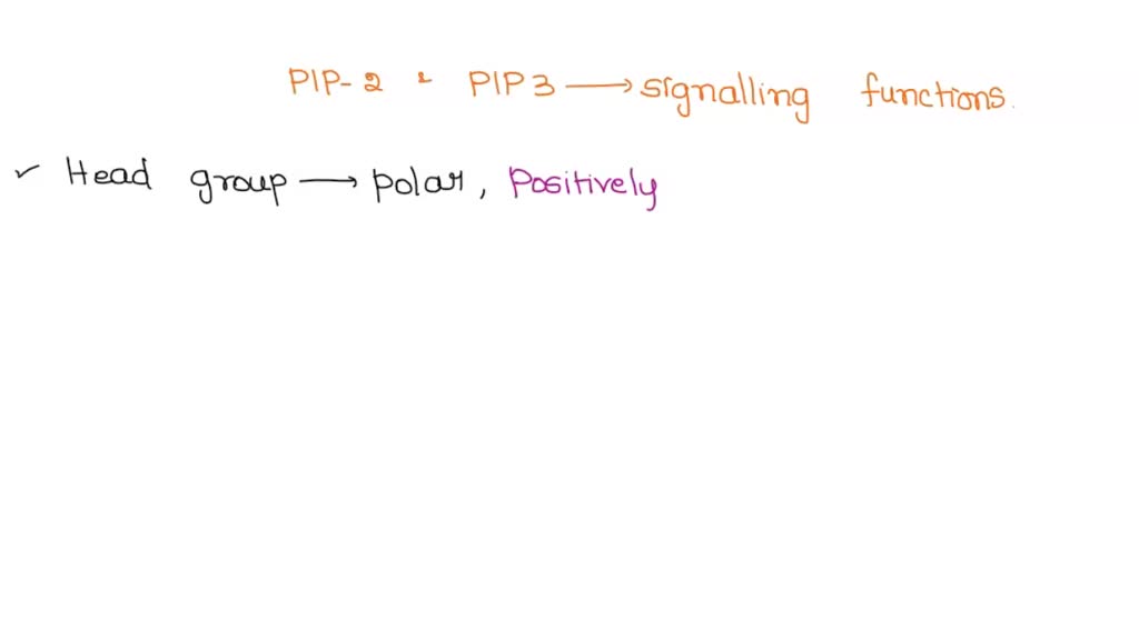 SOLVED: PIP2 and PIP3 are membrane phospholipids that have important ...