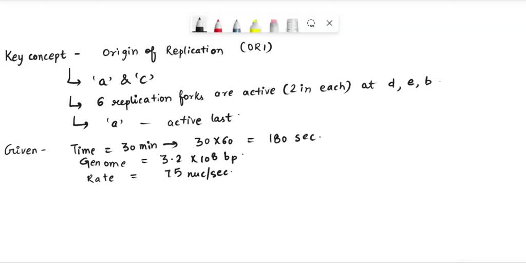 SOLVED: Replicating structures in DNA can be observed using electron ...