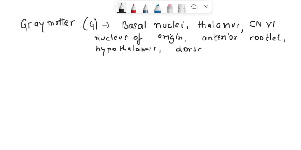 SOLVED: Which of the following deep gray matter structures are ...