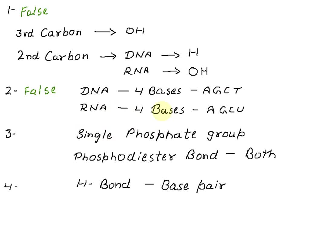 SOLVED: How are DNA and RNA different? (select True or False) DNA has only hydrogen at the 3 ...