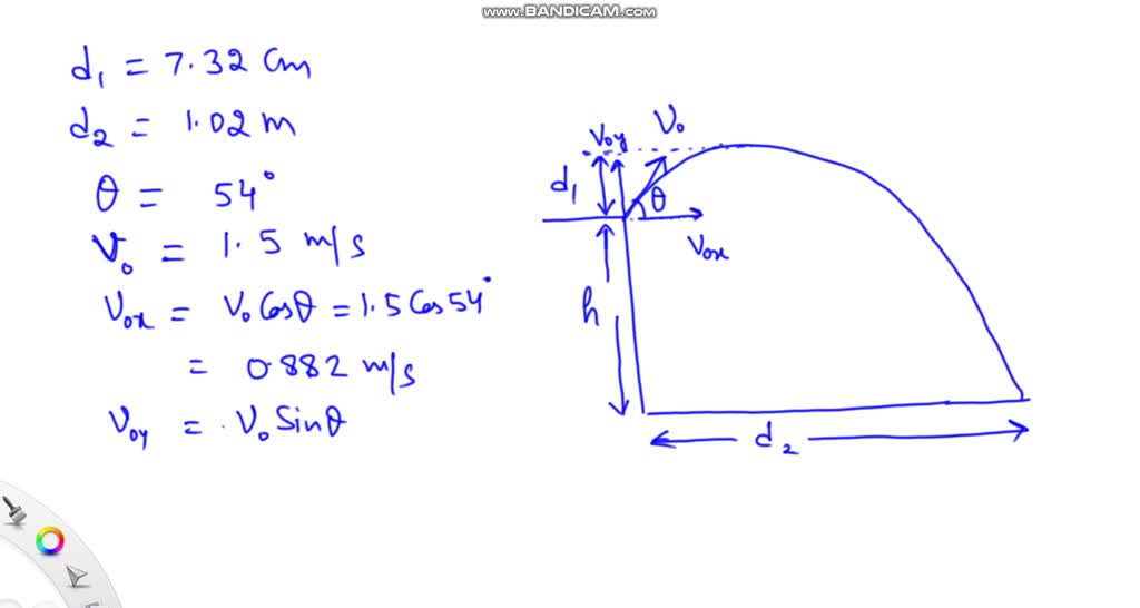 SOLVED: A grasshopper leaps into the air from the edge of a vertical ...