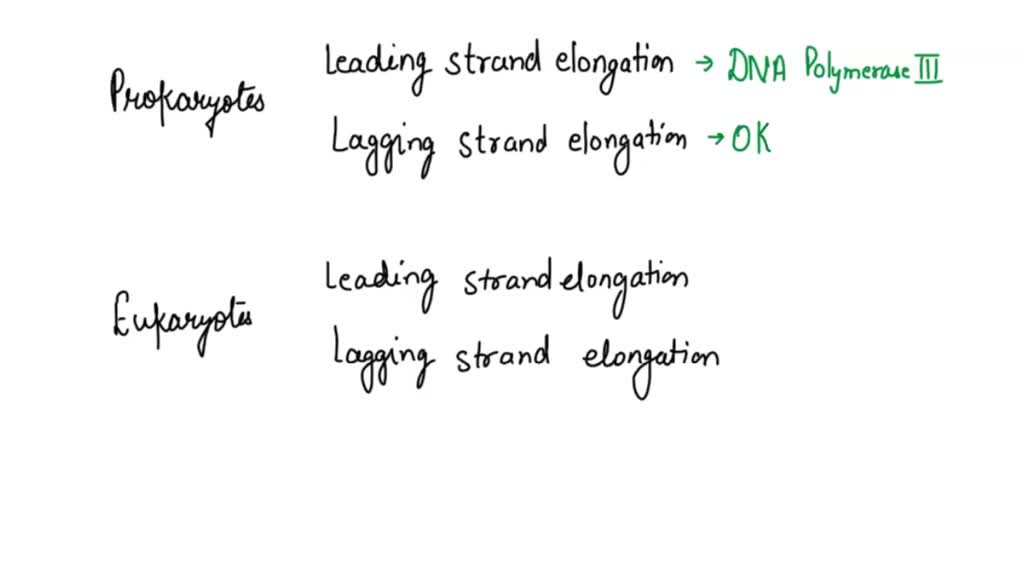 SOLVED: 'Which DNA polymerase is used for leading and lagging strand ...