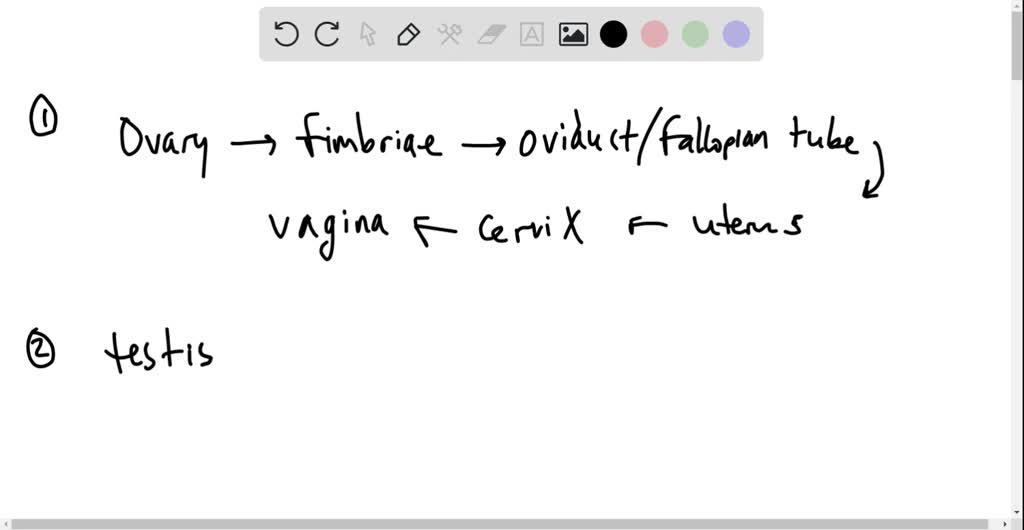 SOLVED: Activity 9 Structure Function Relation Activity 9.1. Identify ... SOLVED: Activity 9 Structure Function Relation Activity 9.1. Identify ...