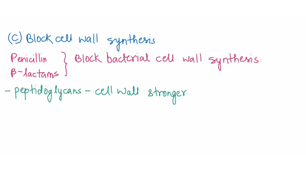 SOLVED: Beta-lactams target... a. Protein synthesis (50S subunit) b ...