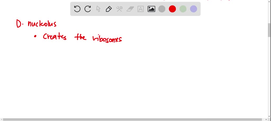 SOLVED: 'Identify each of the cell structures indicated in figure 7-7 ... SOLVED: 'Identify each of the cell structures indicated in figure 7-7 ...