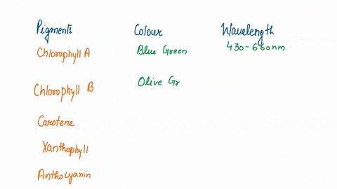 Energy and photosynthesis pre lab questions describe how the...
