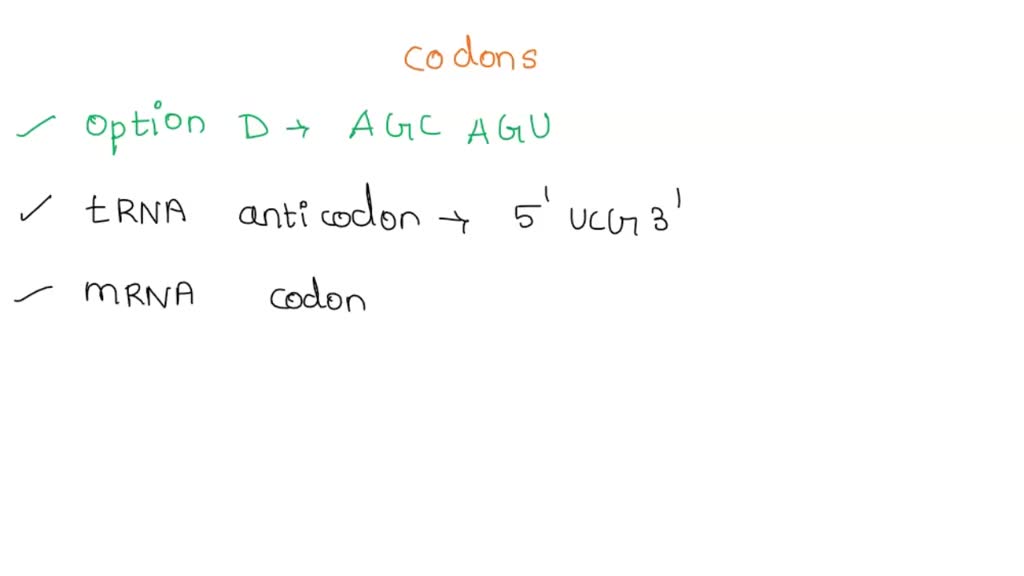 SOLVED: Write the codon, with correct polarity, of all mRNA codons that ...