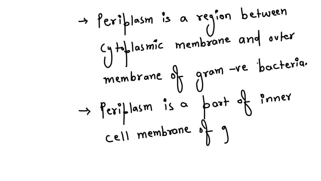 SOLVED: The periplasm is a(n) Group of answer choices Region between ...