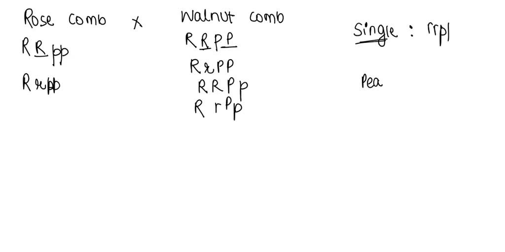 SOLVED: Rose Comb chicken mated with walnut comb chicken produced 15 ...