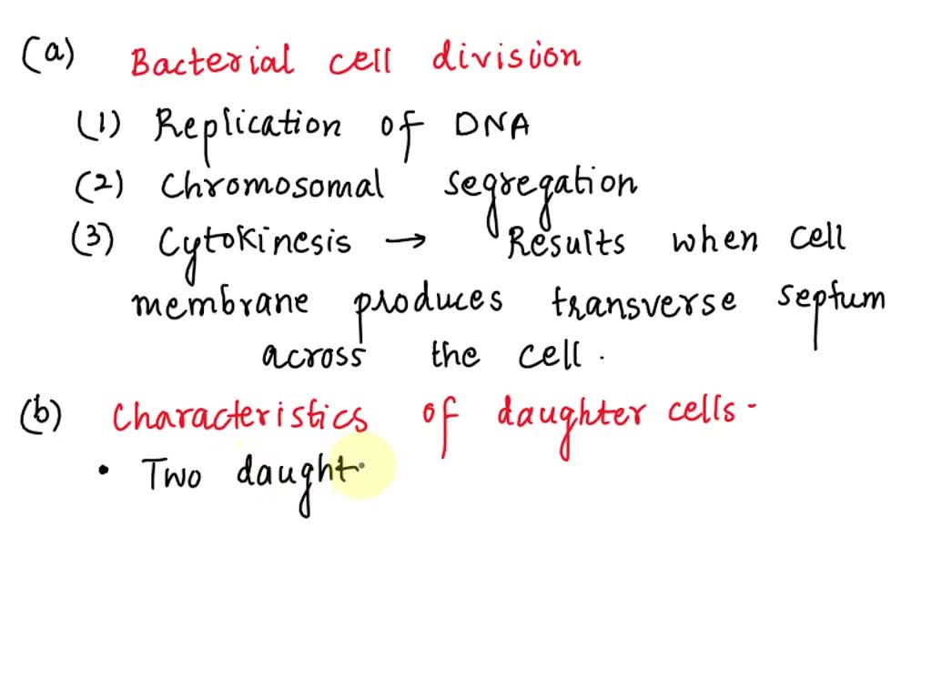 SOLVED: Know steps in bacterial cell division Know the major ...