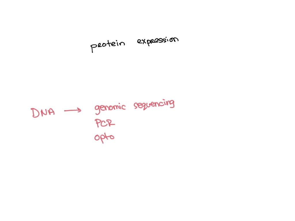 SOLVED: Research Proposal: In-silico and In-vitro (gene expression and ...