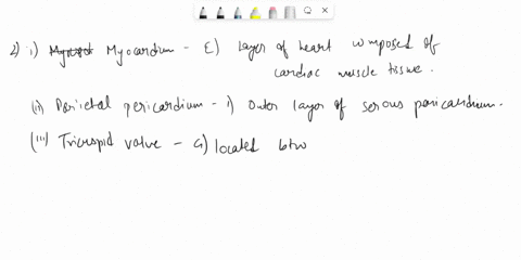 Name Section 3 Label the following parts of the heart on Figure 17.15 ...