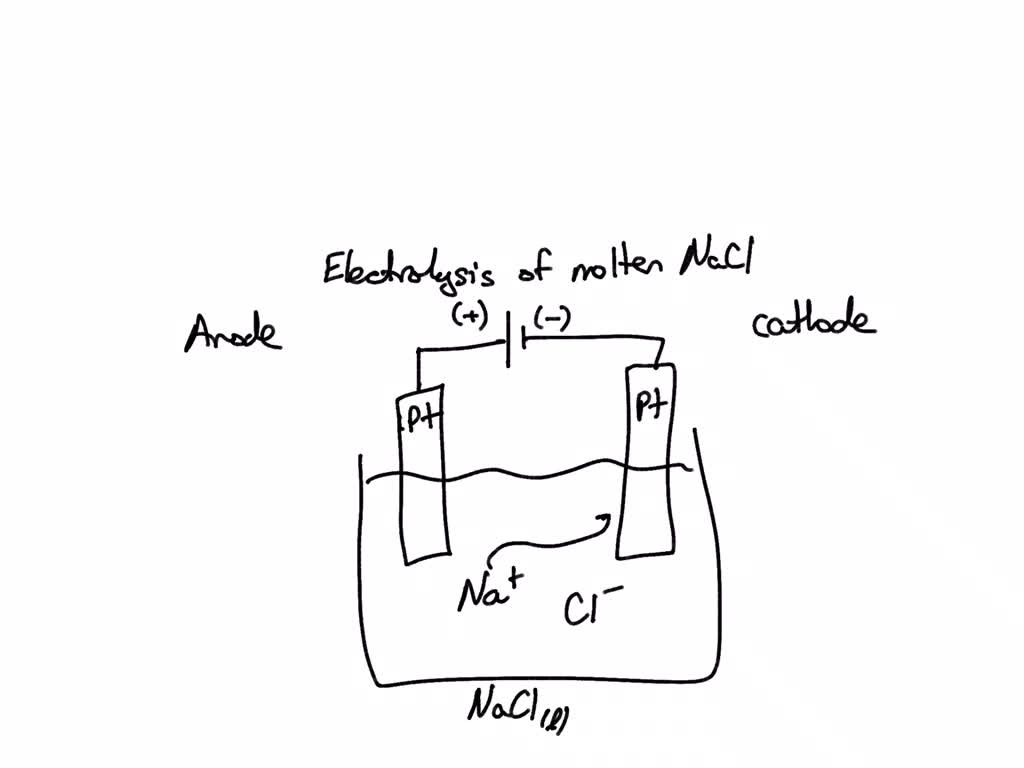 SOLVED: Diagram the apparatus used to electrolyze molten NaCl. Identify ...