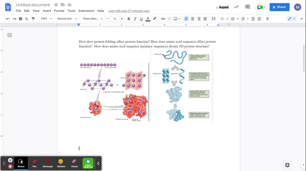 Solved How Do Mutations And Alleles Relate In A Genetic Sense How