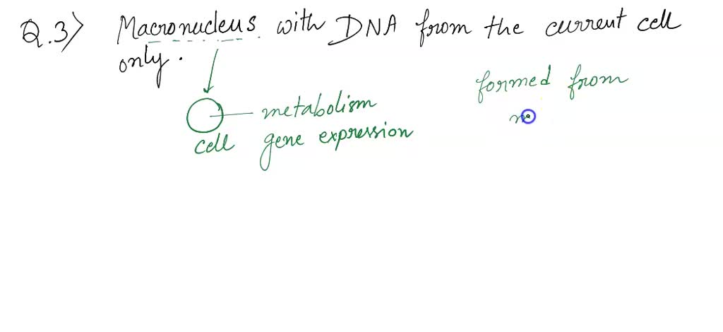 SOLVED: Question 3 In ciliates, cells contain both macronuclei and ...