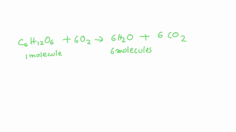 Consider the following reaction: 6 CO2 + 6 H2O ightarrow...
