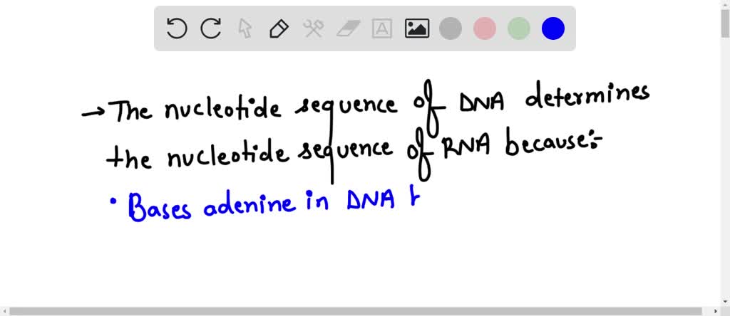 SOLVED: how does the structure of DNA determine the structure of RNA? A ...