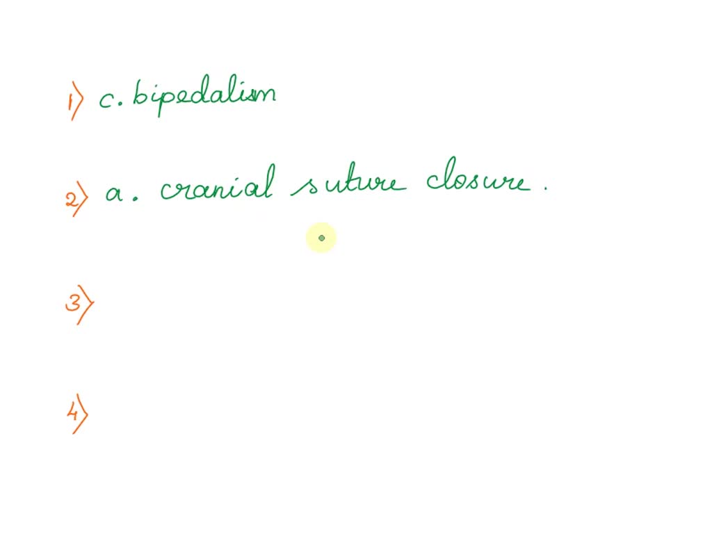 SOLVED: A cone-shaped thorax is a plesiomorphic trait of Paranthropus ...