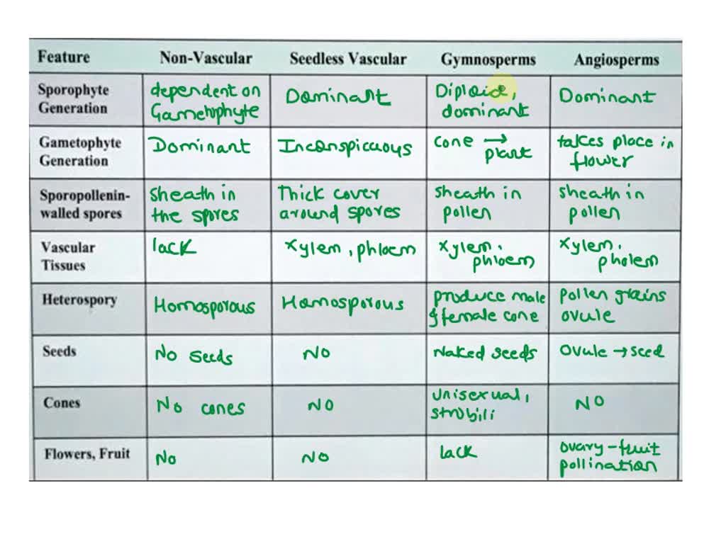 SOLVED: Complete the following compare contrast table t0 summarize the ...