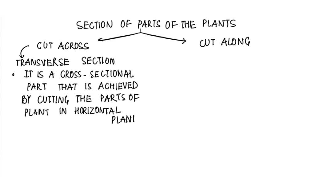 SOLVED What Do You Call The Following Two Section a If Cut Across B solved-what-do-you-call-the-following-two-section-a-if-cut-across-b