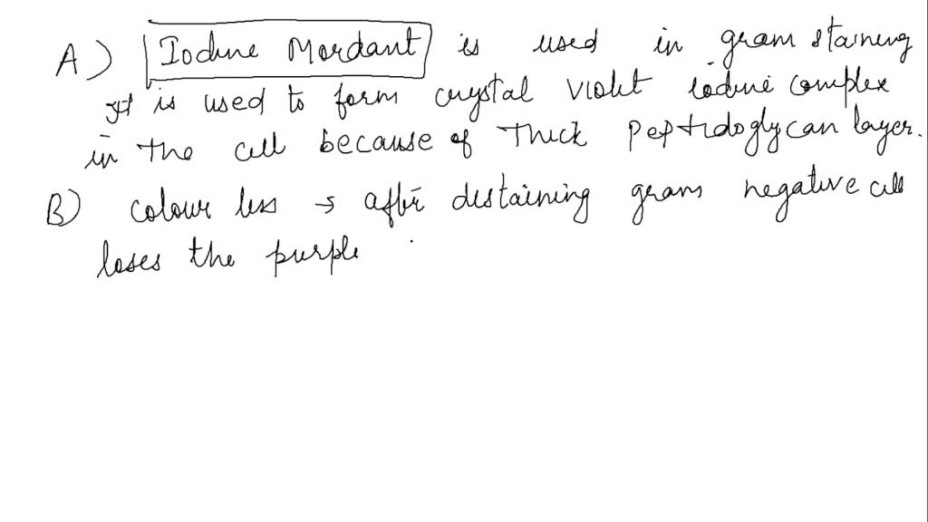 SOLVED: List the missing information for each step with bold letter (A ...