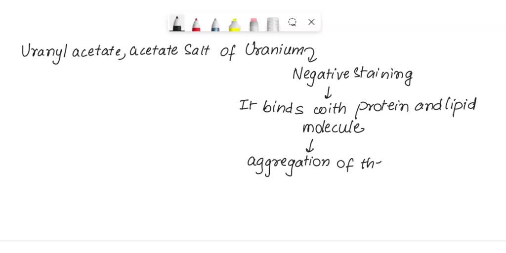 SOLVED: In the nonspecific esterase (alpha-naphthyl acetate) staining ...