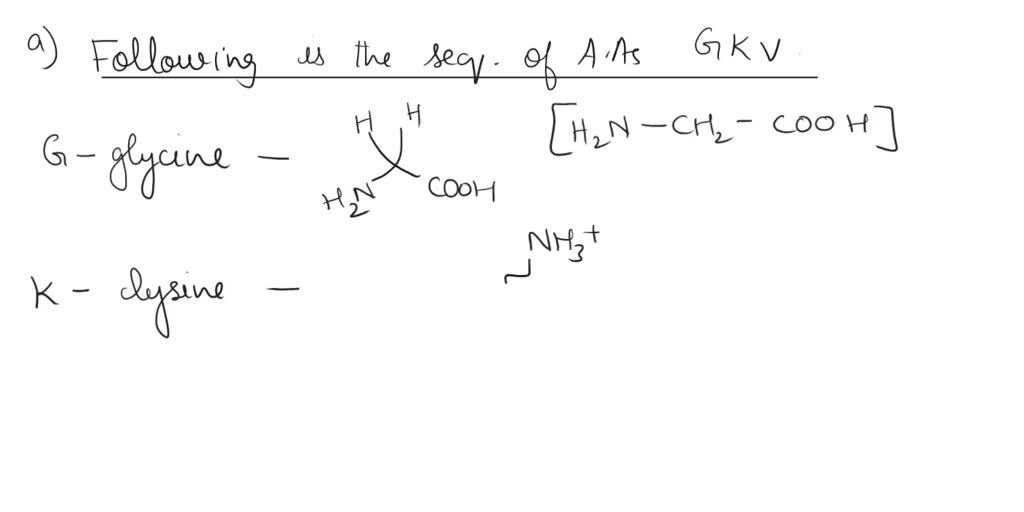 Biochem Bond between water molecule and the amino acid you just drew ...
