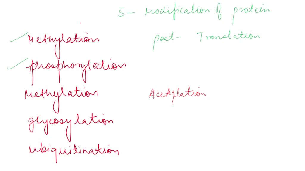 SOLVED: Explain 5 modifications made to proteins in vivo that regulate ...