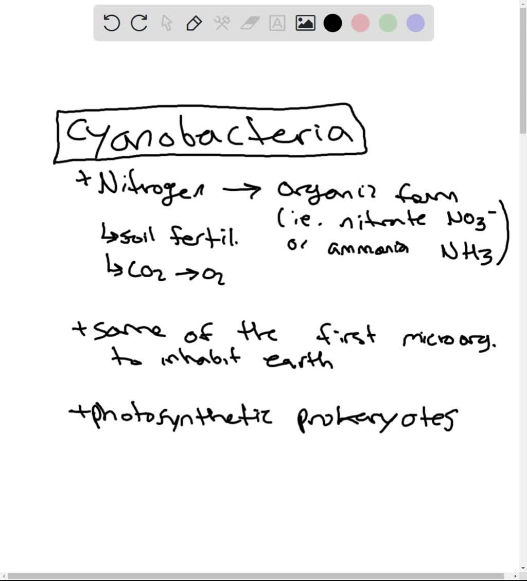 SOLVED 1 Describe How Bacteria Exchange Genetic Information 2 What SOLVED 1 Describe How Bacteria Exchange Genetic Information 2 What