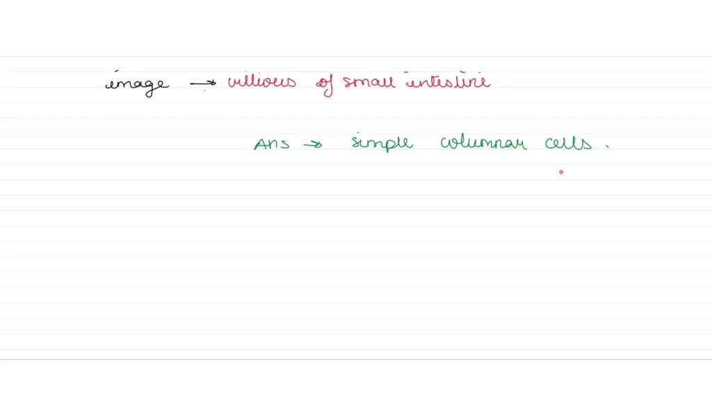 SOLVED: Which structures are highlighted? simple columnar cells O goblet cells nuclei microvilli aut