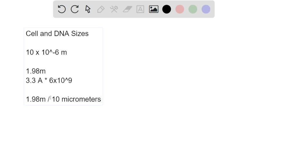 The diameter of a typical human cell is 10 Î¼m. Based on your answer to ...
