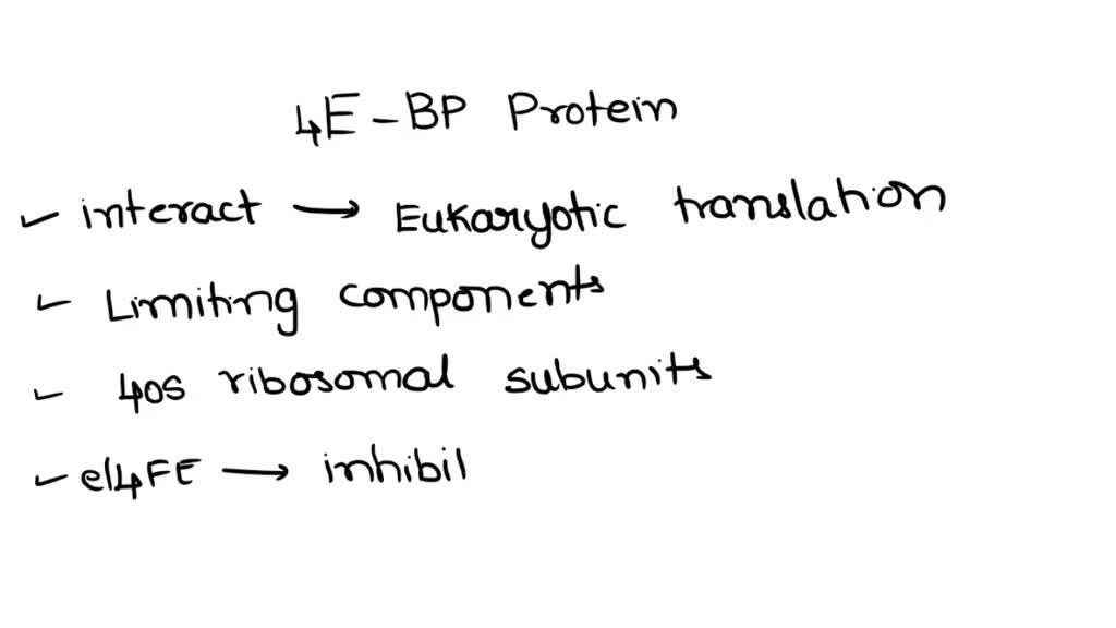 SOLVED: 15. Describe the function of a 4E-BP protein. How is the ...