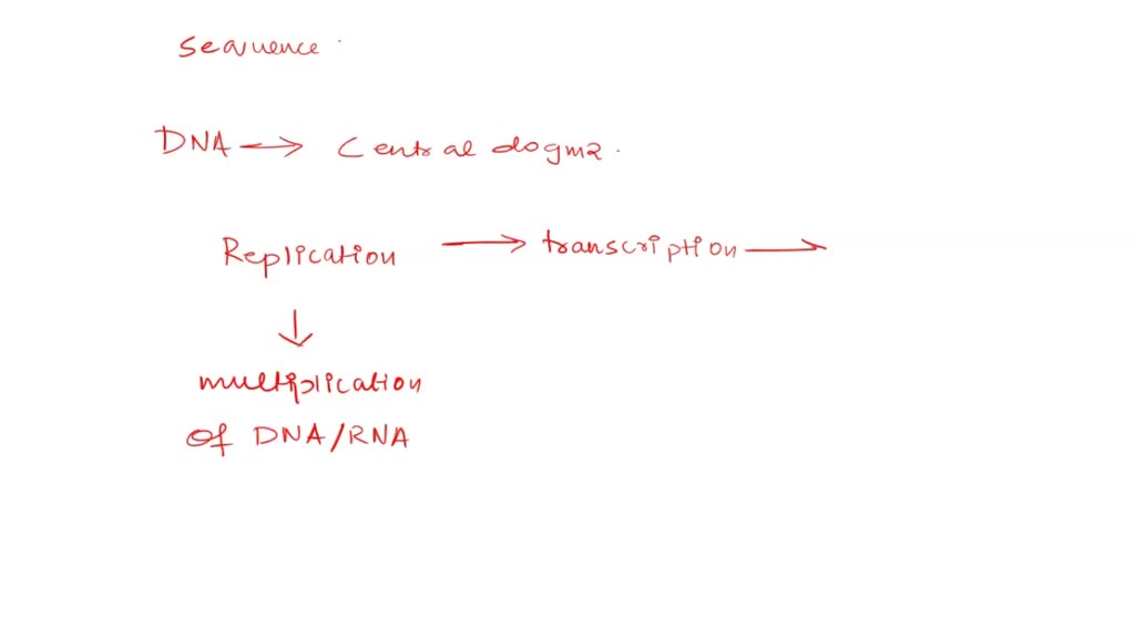 SOLVED: Text: Flow of Genetic Information Answer Sheet Directions: 1. Use the DNA code to create ...