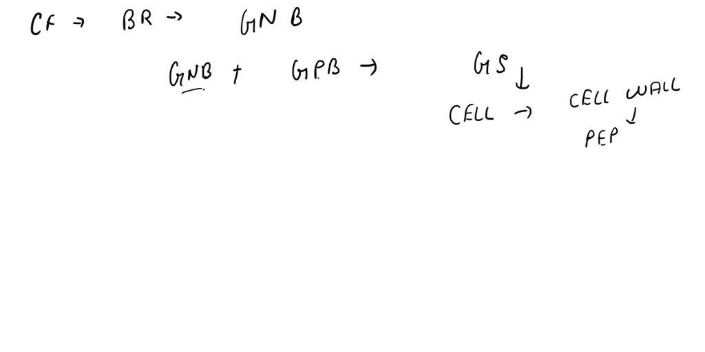 SOLVED: 2. List three microbial eukaryotes and their respective ...