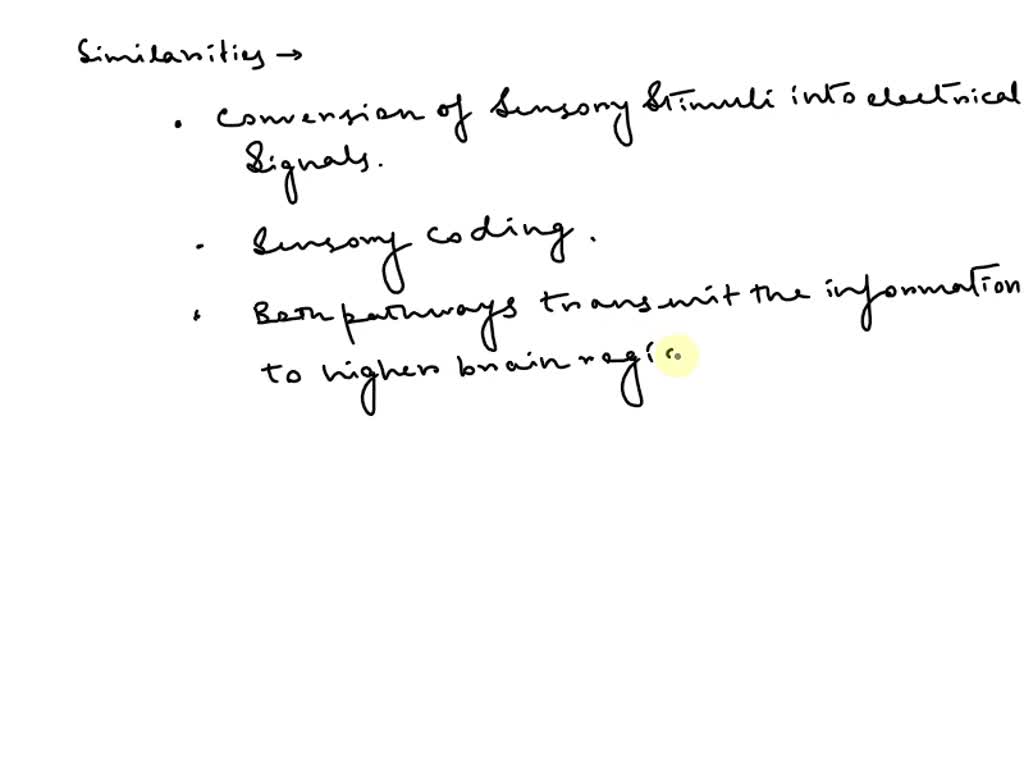 SOLVED: Explain the differences and similarities between the visual and olfactory transduction ...