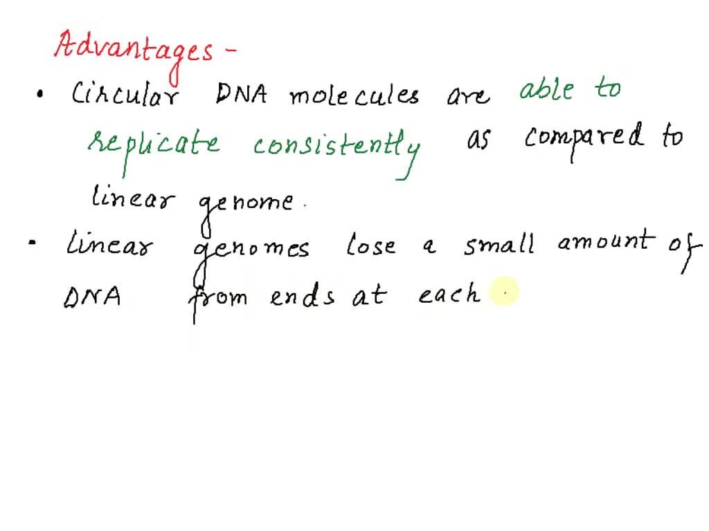 SOLVED: Bacteriophage l replicates its DNA first by theta replication ...