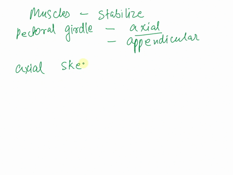 Axial muscles include muscles of the a head and neck b...