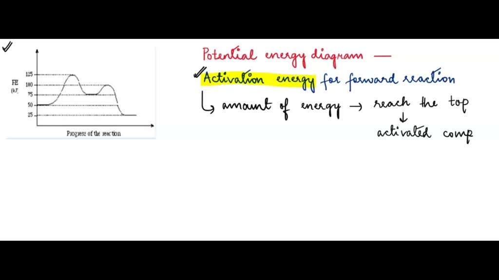 SOLVED: 'Consider the reaction potential energy diagram. What describes ...