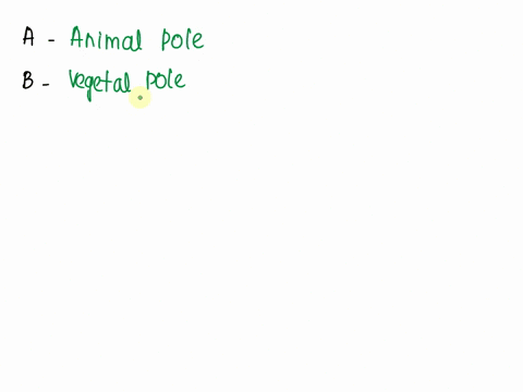 1. 2. 3. 4. 5. 6. 7. 8. 9. 1. 2. 3. 4. 5. 6. 7. 8. Animal...