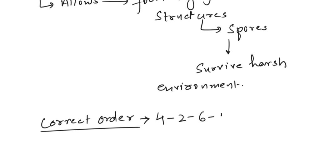SOLVED: Place the steps of sporulation in the correct order: 1 ...