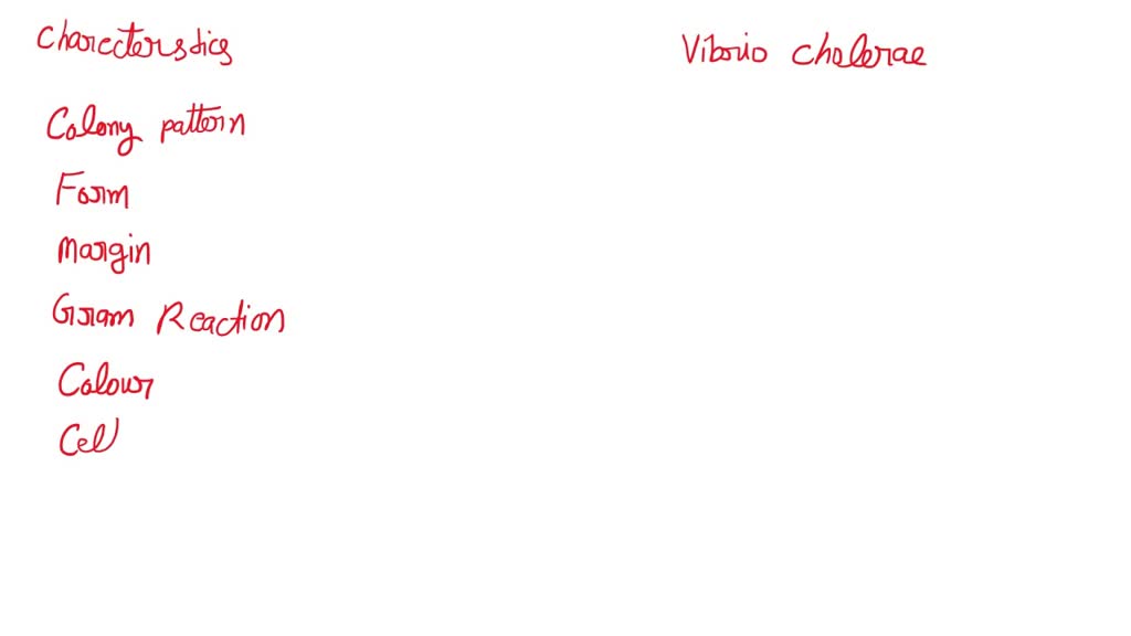 SOLVED: Characteristics Vibrio Cholerae Colony Pattern Form Color ...