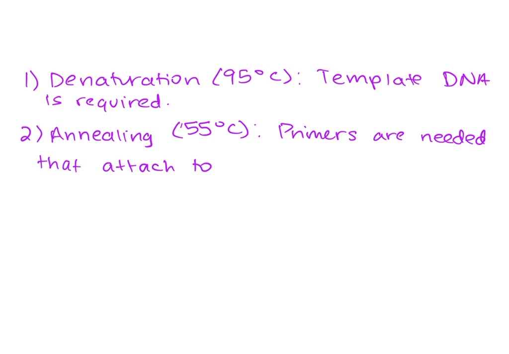 SOLVED: A standard PCR cycle includes three steps: denaturation (95Â°C ...