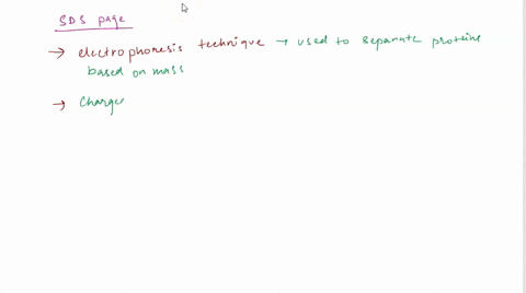 What is the role of sds in sds page what would happen if you...