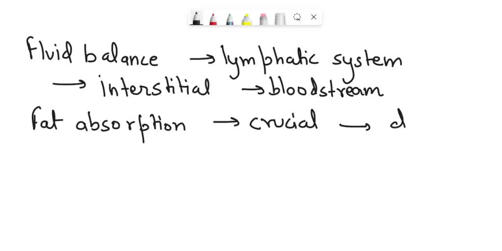 SOLVED: List 3 functions of the Lymphatic System and explain why it is important. (and remember ...
