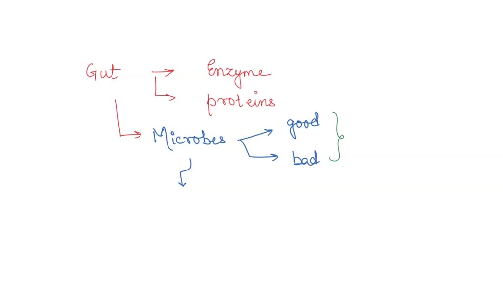 SOLVED: Label the following: Rod, Cone, Horizontal Cell, Ripolar CeU ...