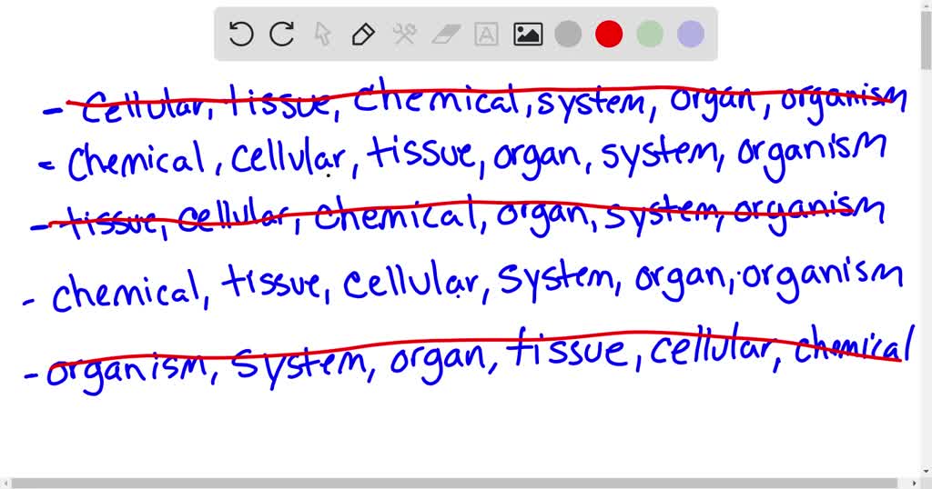 SOLVED: Which of the following lists correctly presents levels of organization from simplest to ...