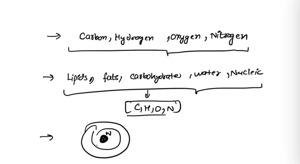 SOLVED: Chapter 2 What are the four major elements found in living ...